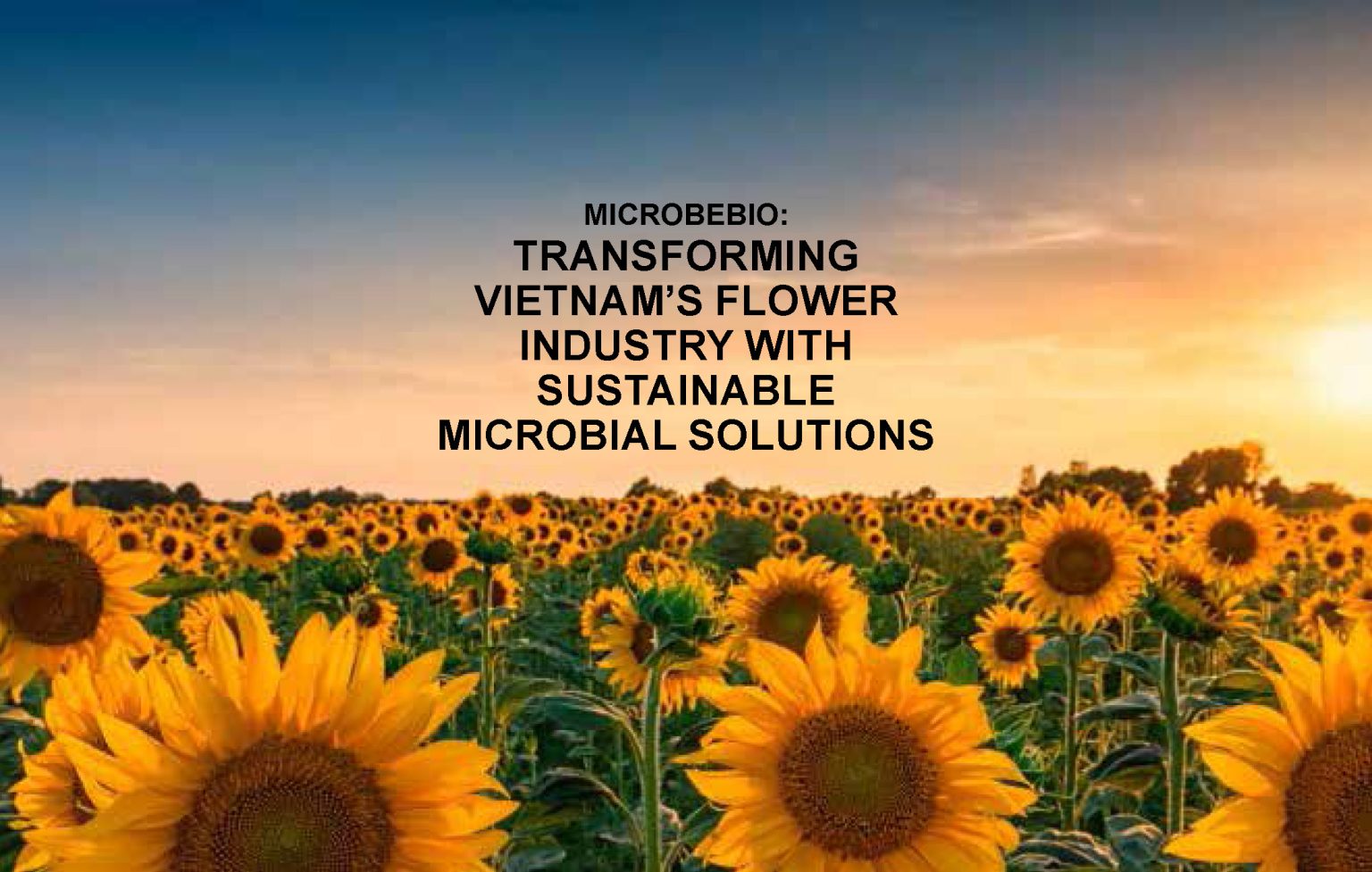 MicrobeBio: Transforming Vietnam’s Flower Industry with Sustainable ...