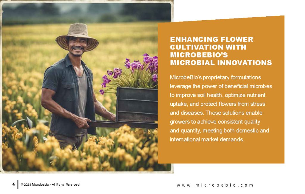 MicrobeBio: Transforming Vietnam’s Flower Industry with Sustainable ...