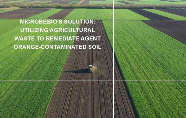 MicrobeBio's Solution: Utilizing Agricultural Waste to Remediate Agent ...