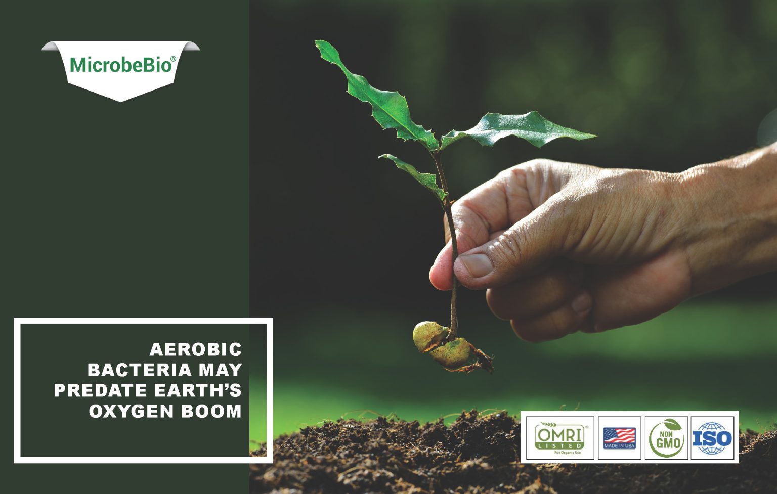 Aerobic Bacteria May Predate Earth's Oxygen Boom - Microbial fertilizer ...