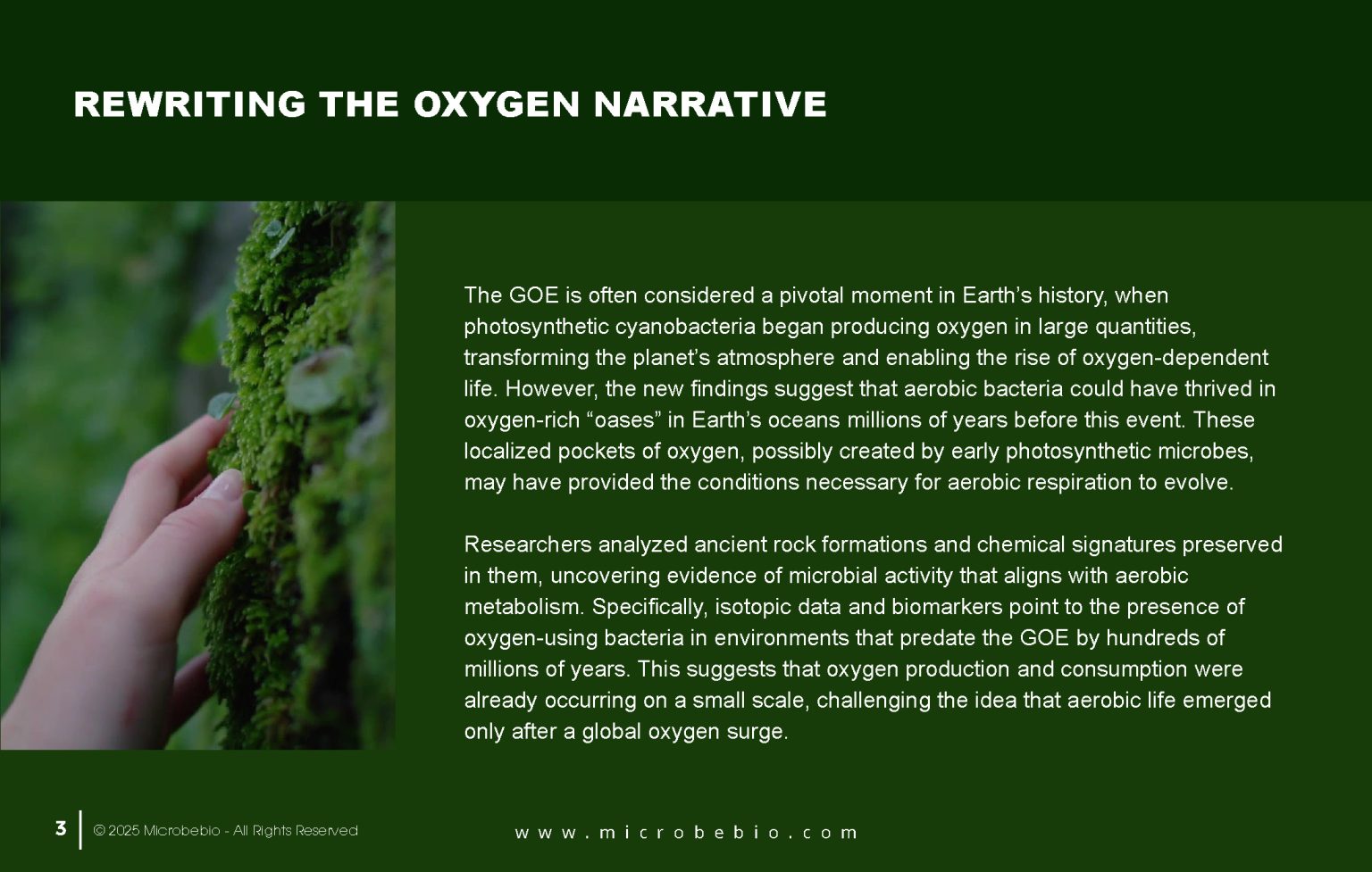 Aerobic Bacteria May Predate Earth's Oxygen Boom - Microbial fertilizer ...