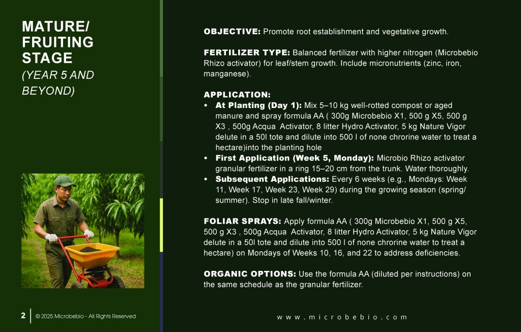 MANGO TREE CARE GUIDE: FERTILIZER, PESTS, AND DISEASES - Microbial ...